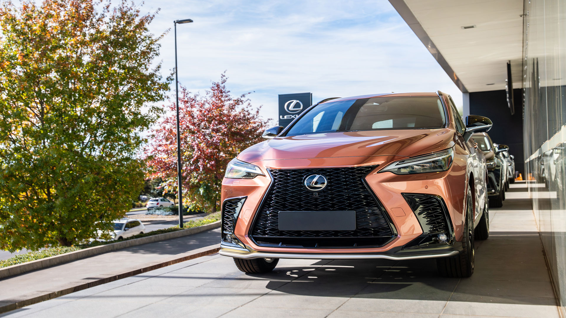 Macarthur | New Cars | Service
